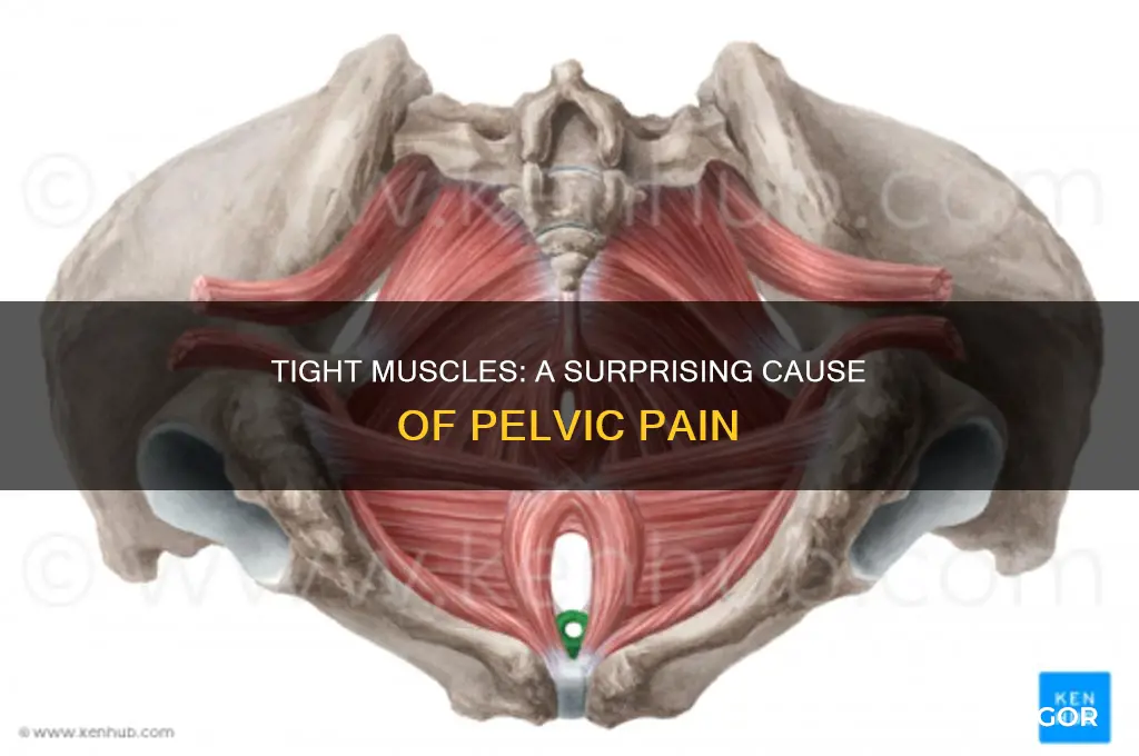 Tight Muscles: A Surprising Cause Of Pelvic Pain | CyVigor
