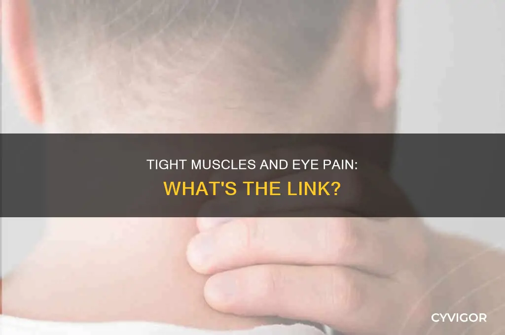 Tight Muscles And Eye Pain: What's The Link? | CyVigor