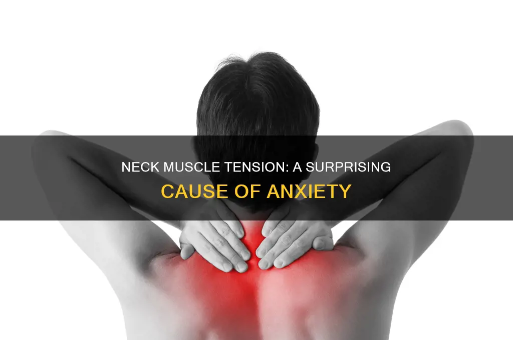 Neck Muscle Tension: A Surprising Cause Of Anxiety | CyVigor