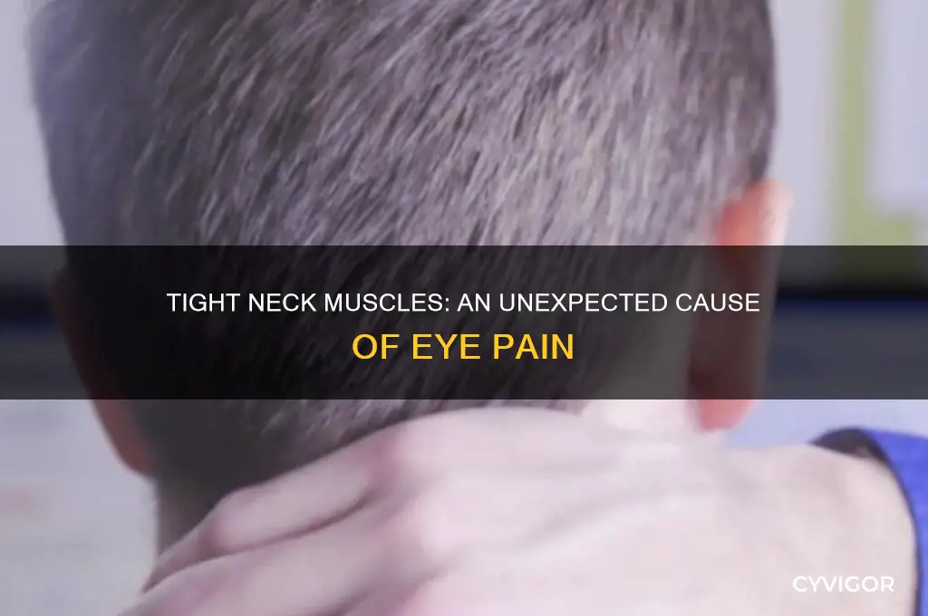 Tight Neck Muscles: An Unexpected Cause Of Eye Pain | CyVigor