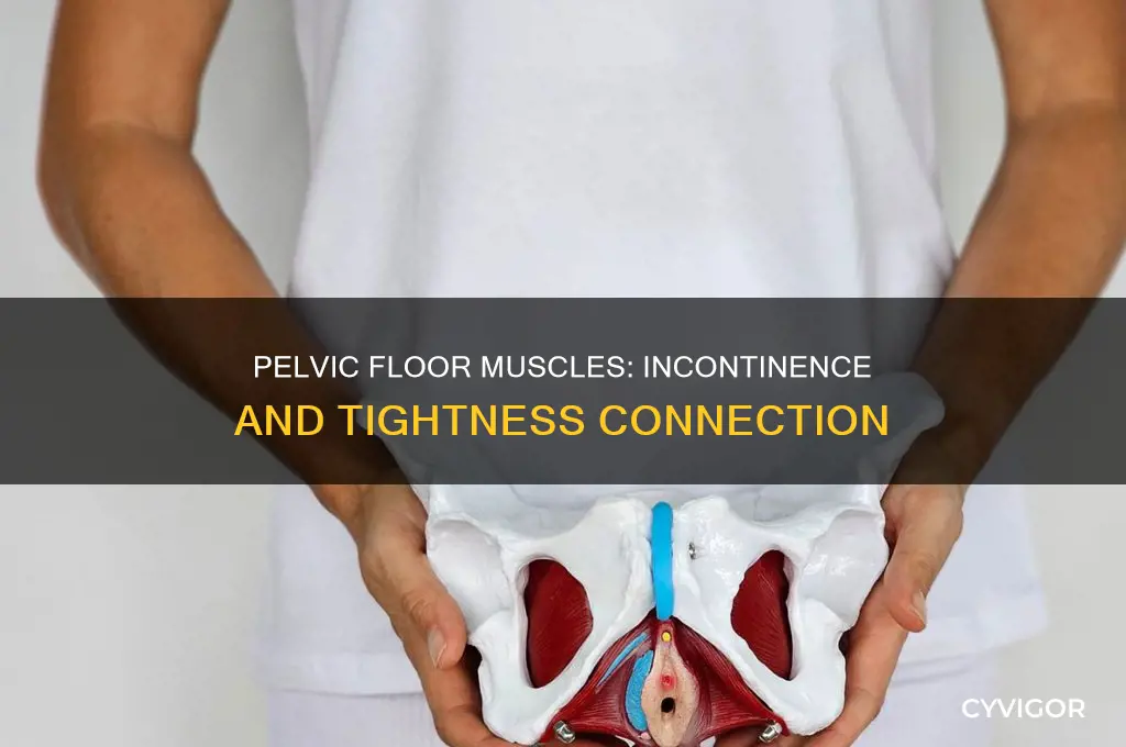 Pelvic Floor Muscles: Incontinence And Tightness Connection | CyVigor