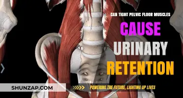 Pelvic Muscle Tension: A Surprising Cause Of Bladder Pain? | CyVigor