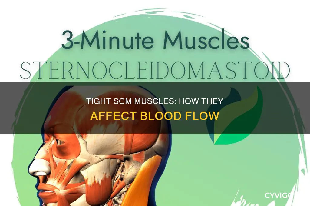 Tight Scm Muscles: How They Affect Blood Flow | CyVigor