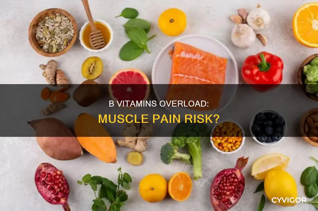 B Vitamins Overload: Muscle Pain Risk? | CyVigor