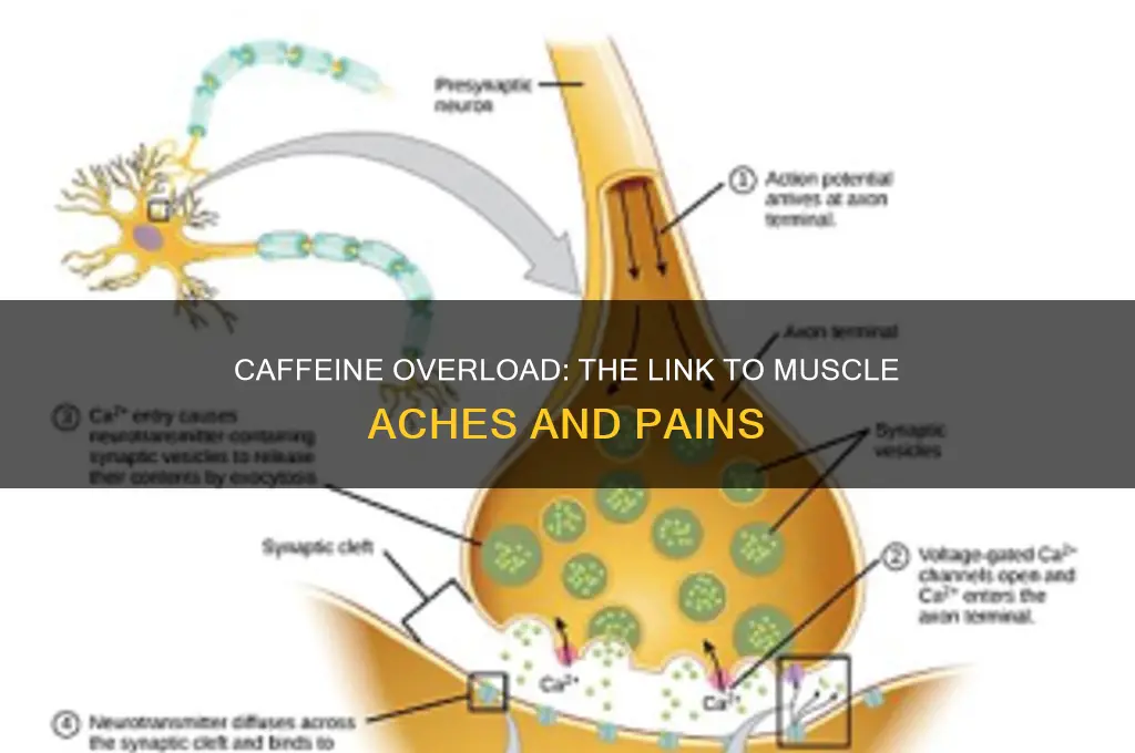 Caffeine Overload: The Link To Muscle Aches And Pains | CyVigor