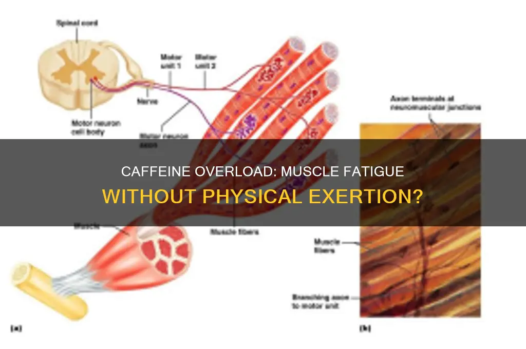 Caffeine Overload: Muscle Fatigue Without Physical Exertion? | CyVigor