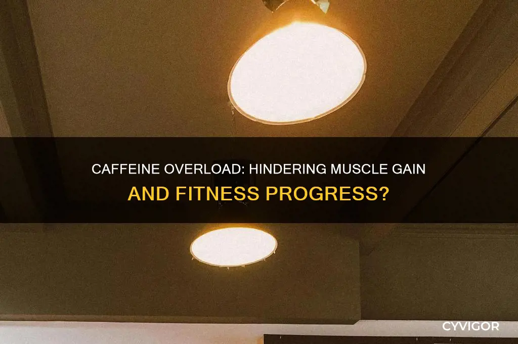 Caffeine Overload: Hindering Muscle Gain And Fitness Progress? | CyVigor