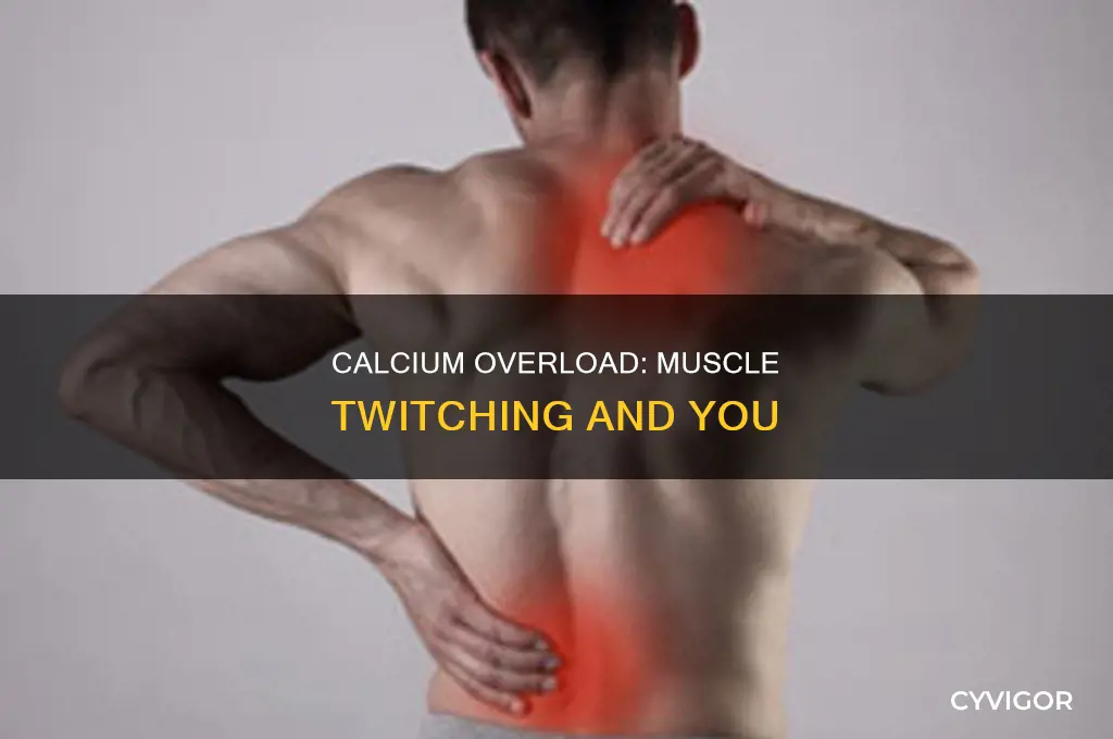 Calcium Overload: Muscle Twitching And You | CyVigor