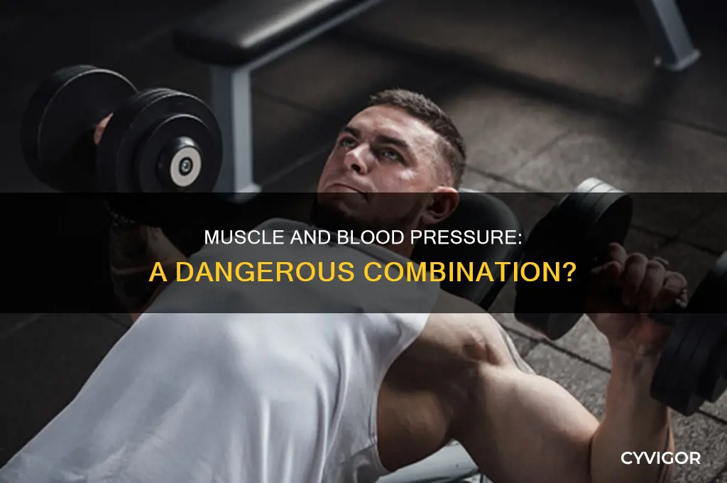 Muscle And Blood Pressure: A Dangerous Combination? | CyVigor