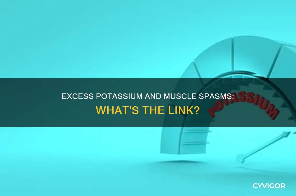 Excess Potassium And Muscle Spasms: What's The Link? | CyVigor