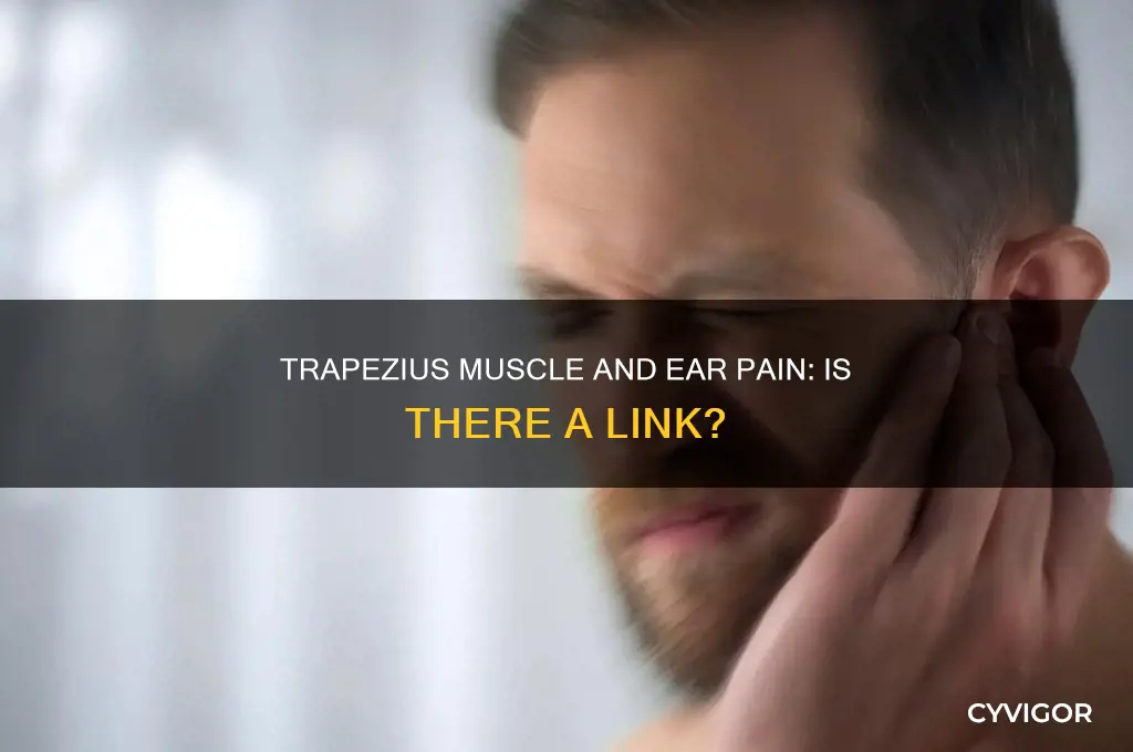 Trapezius Muscle And Ear Pain: Is There A Link? | CyVigor