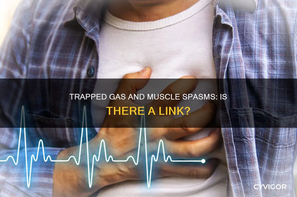 Trapped Gas And Muscle Spasms: Is There A Link? | CyVigor