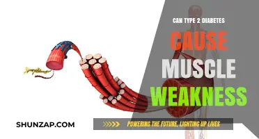 How Muscles Connect: Exploring Fascial Linkages | CyVigor