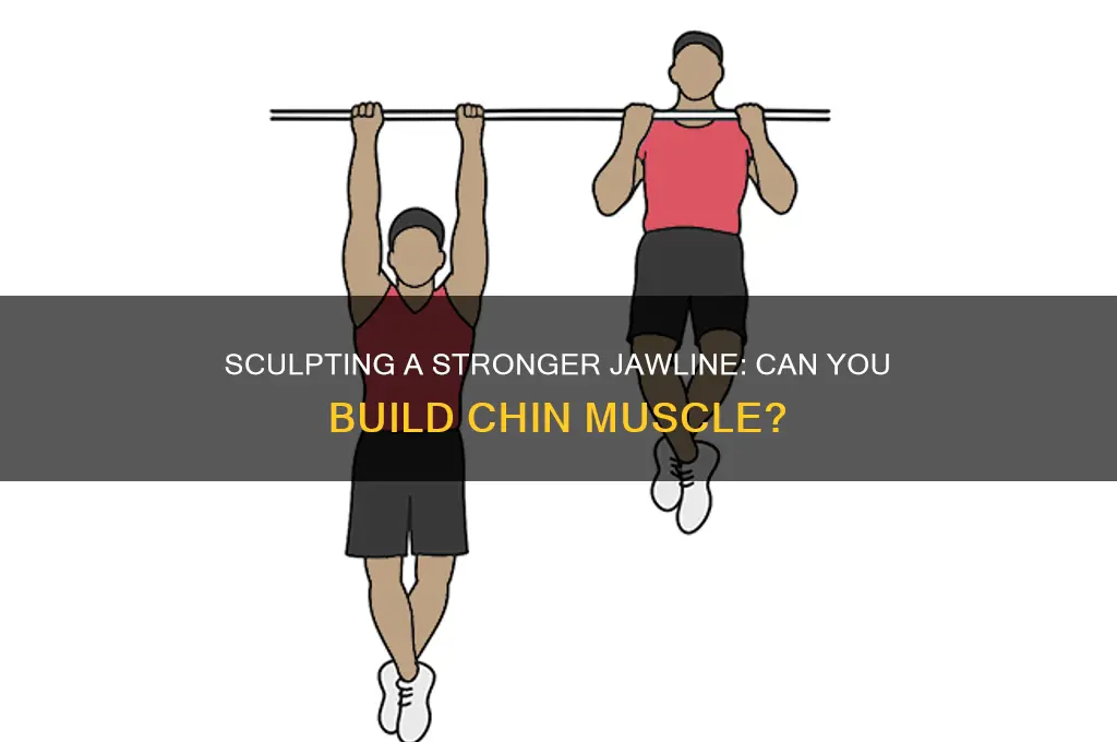 Sculpting A Stronger Jawline: Can You Build Chin Muscle? | CyVigor