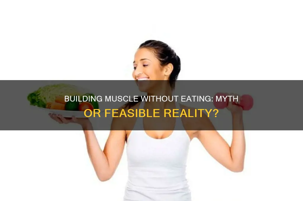 Building Muscle Without Eating: Myth Or Feasible Reality? | CyVigor