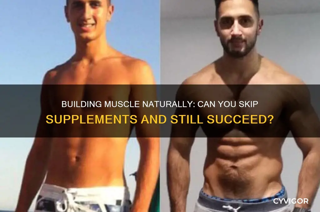 Building Muscle Naturally: Can You Skip Supplements And Still Succeed ...