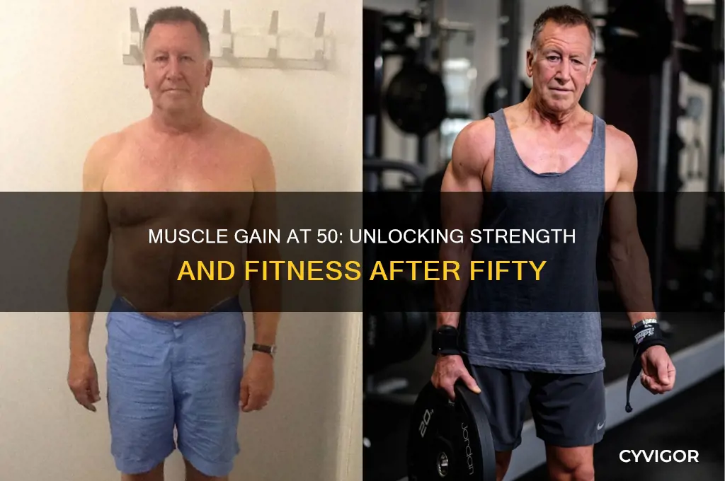 Muscle Gain At 50: Unlocking Strength And Fitness After Fifty | CyVigor