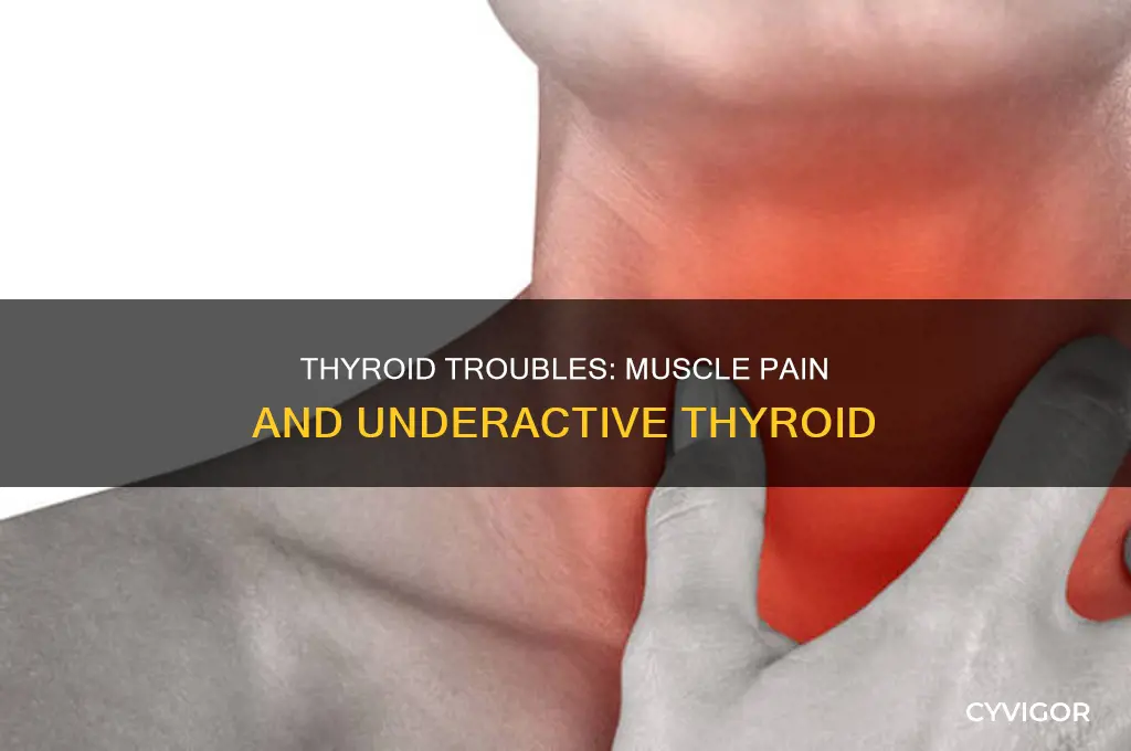 Thyroid Troubles: Muscle Pain And Underactive Thyroid | CyVigor