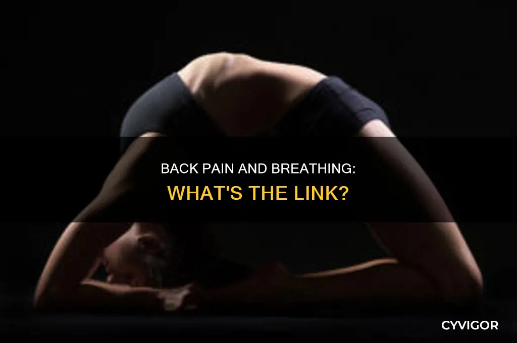 Back Pain And Breathing: What's The Link? | CyVigor