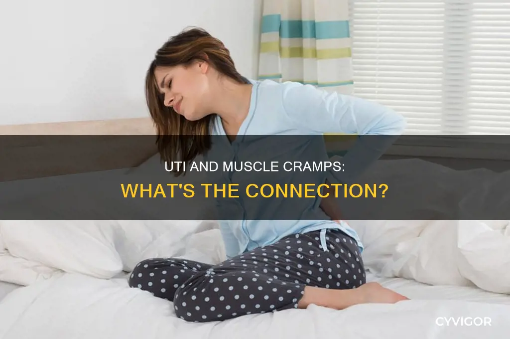 Uti And Muscle Cramps: What's The Connection? | CyVigor