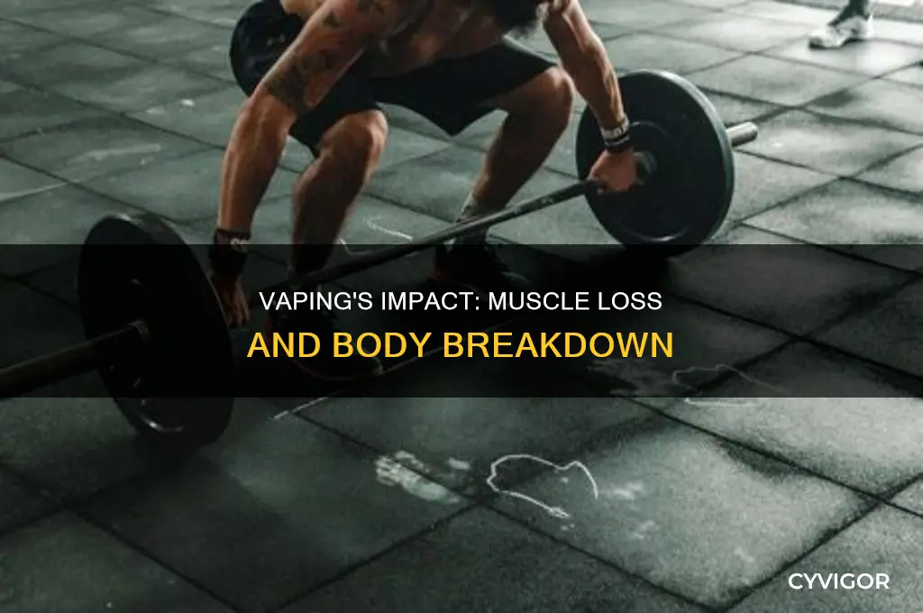 Vaping's Impact: Muscle Loss And Body Breakdown | CyVigor