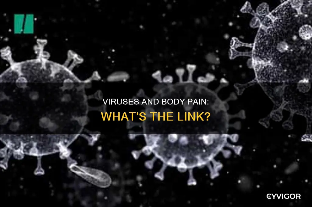 Viruses And Body Pain: What's The Link? | CyVigor