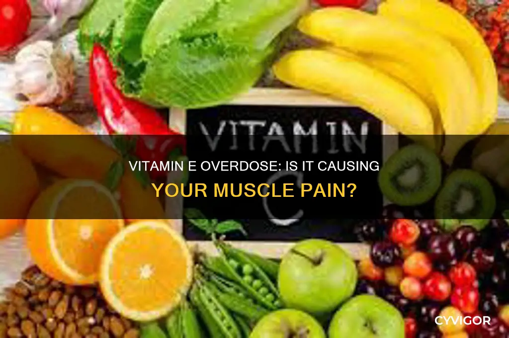 Vitamin E Overdose: Is It Causing Your Muscle Pain? | CyVigor