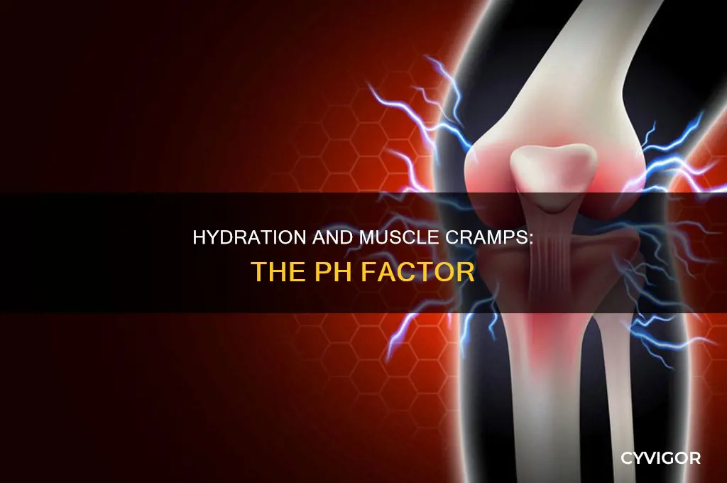 Hydration And Muscle Cramps: The Ph Factor | CyVigor