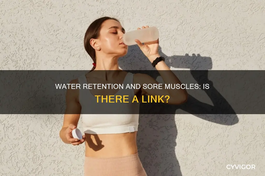 Water Retention And Sore Muscles: Is There A Link? | CyVigor