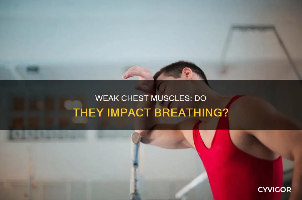 Weak Chest Muscles: Do They Impact Breathing? | CyVigor