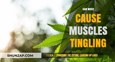 Drugs And Muscle Twitching: What's The Connection? | CyVigor