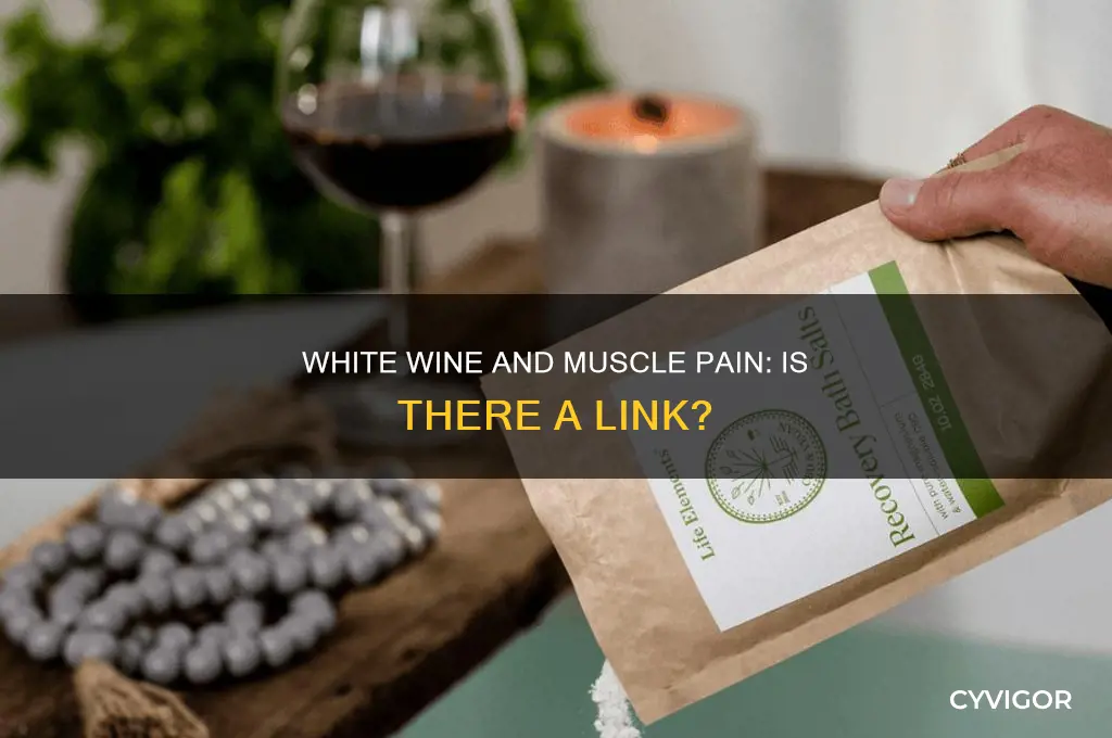 White Wine And Muscle Pain: Is There A Link? | CyVigor