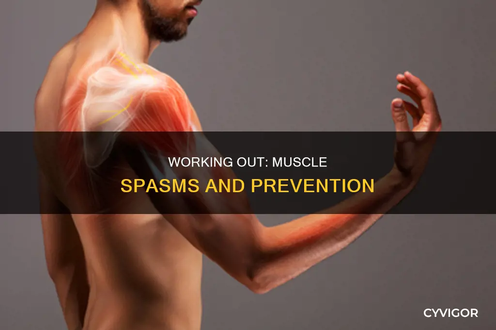 Working Out: Muscle Spasms And Prevention | CyVigor