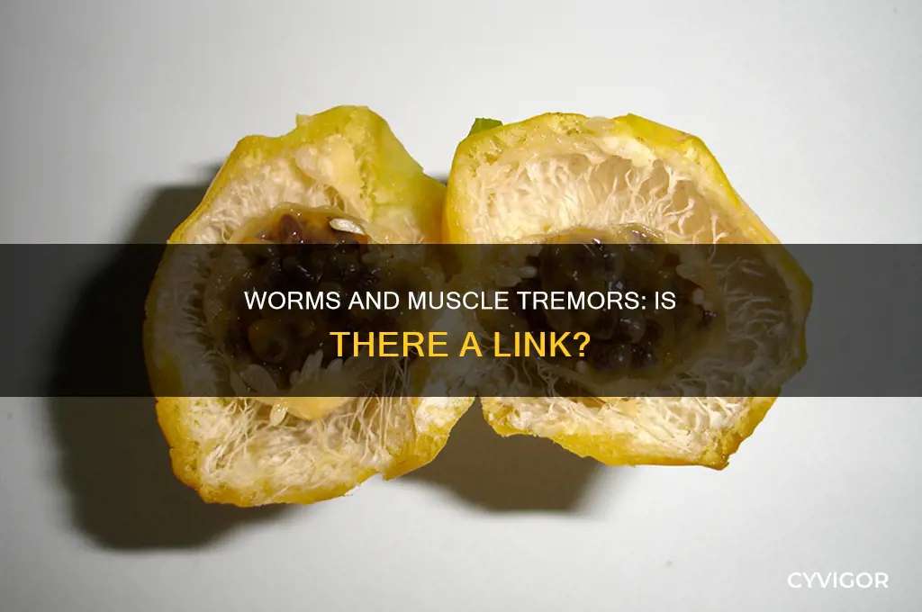 Worms And Muscle Tremors: Is There A Link? | CyVigor