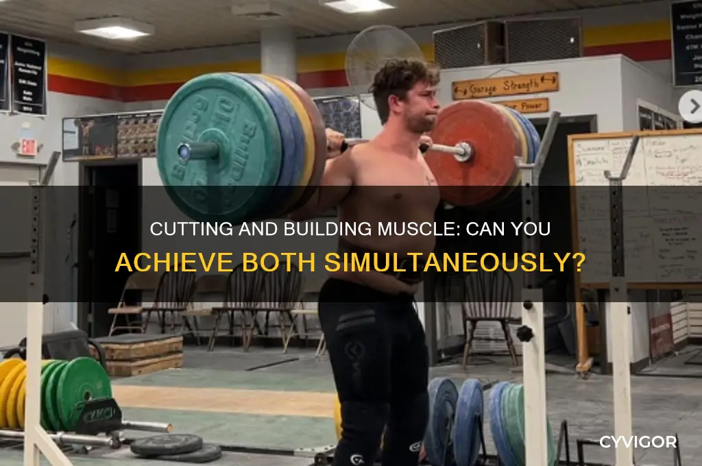 Cutting And Building Muscle: Can You Achieve Both Simultaneously? | CyVigor