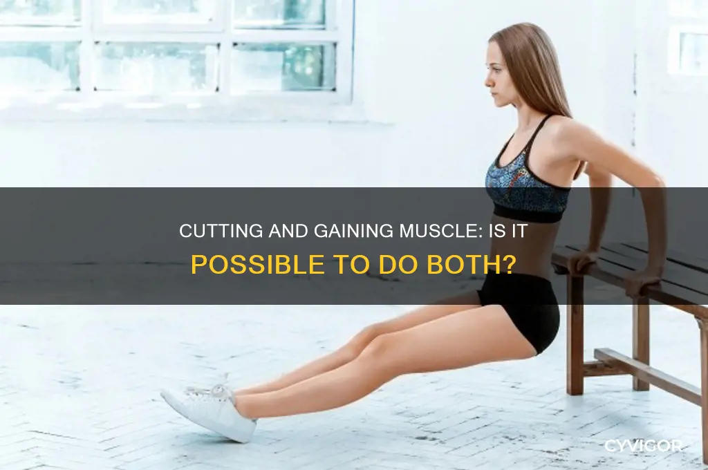 Cutting And Gaining Muscle: Is It Possible To Do Both? | CyVigor
