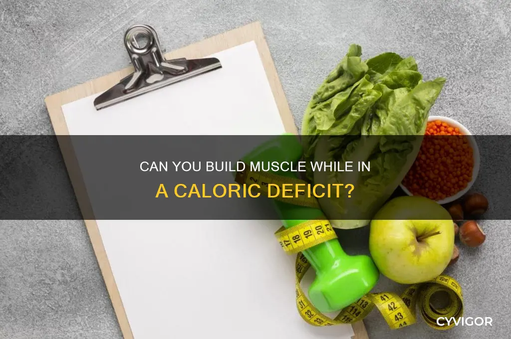 Can You Build Muscle While In A Caloric Deficit? | CyVigor