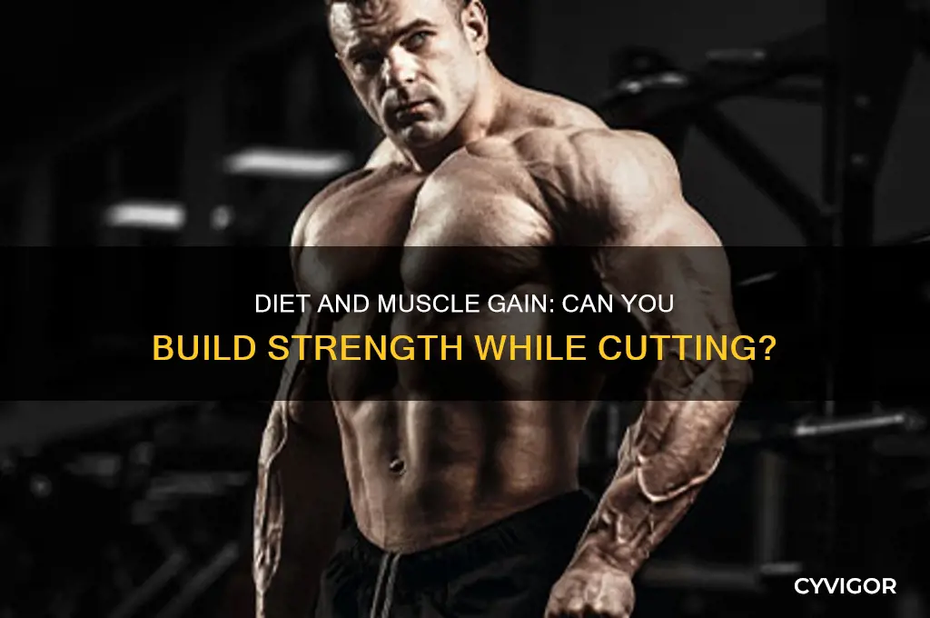 Diet And Muscle Gain: Can You Build Strength While Cutting? | CyVigor