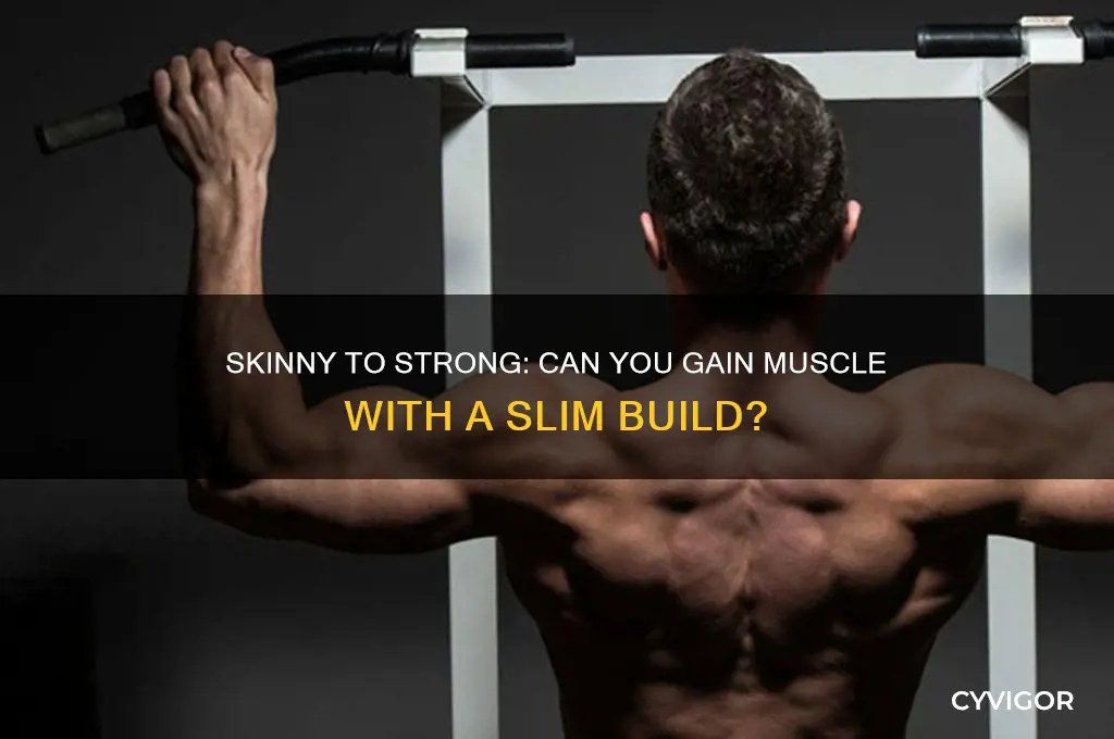 Skinny To Strong: Can You Gain Muscle With A Slim Build? | CyVigor