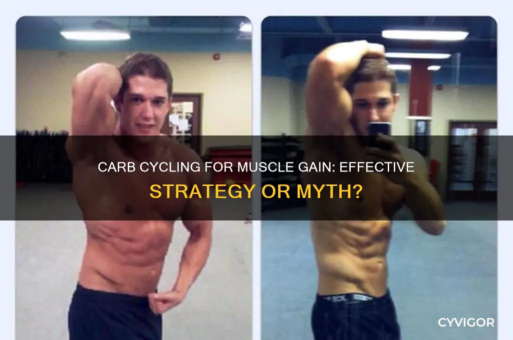 Carb Cycling For Muscle Gain: Effective Strategy Or Myth? | CyVigor