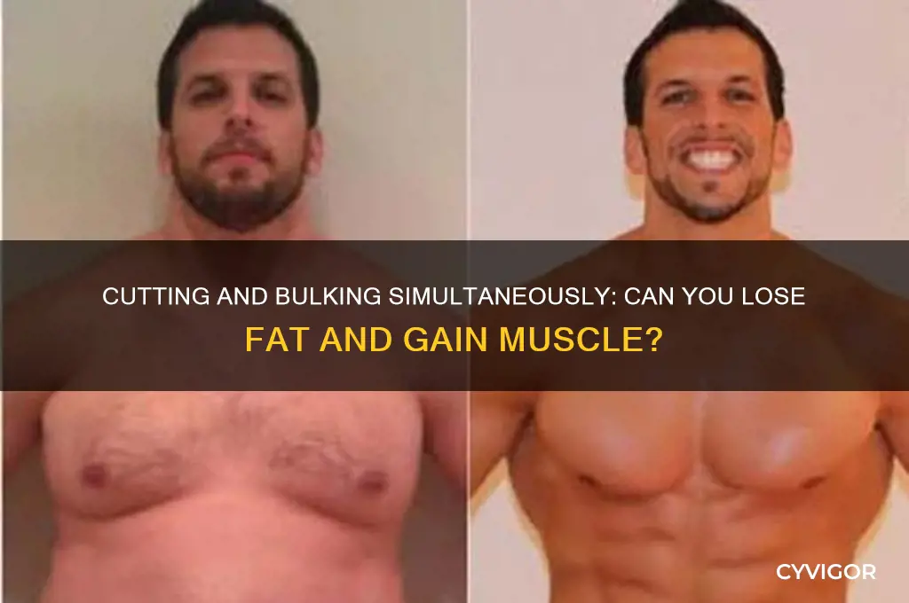 Cutting And Bulking Simultaneously: Can You Lose Fat And Gain Muscle ...