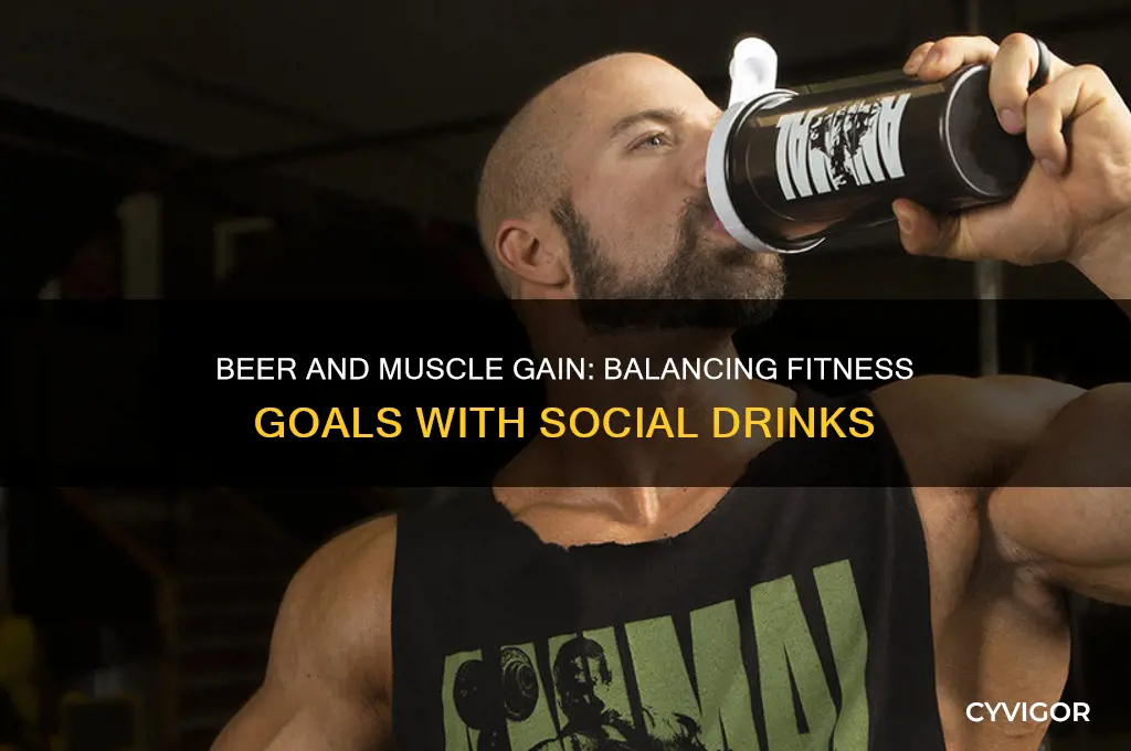 Beer And Muscle Gain: Balancing Fitness Goals With Social Drinks | CyVigor