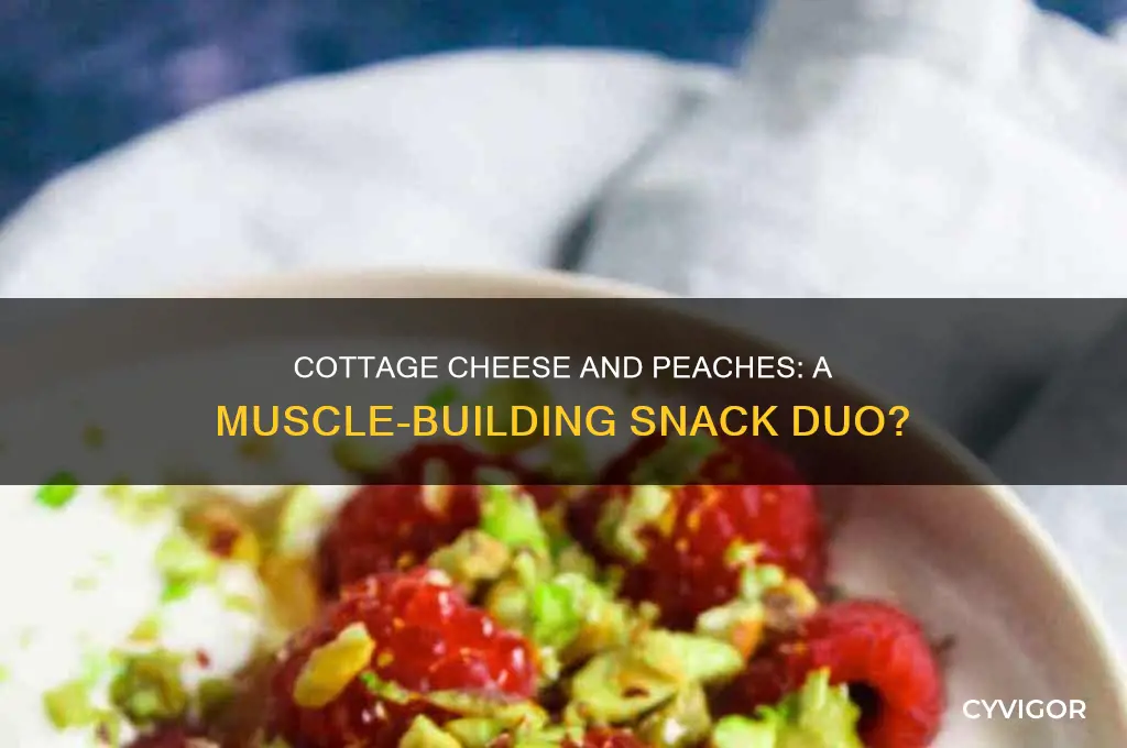 Cottage Cheese And Peaches: A Muscle-Building Snack Duo? | CyVigor