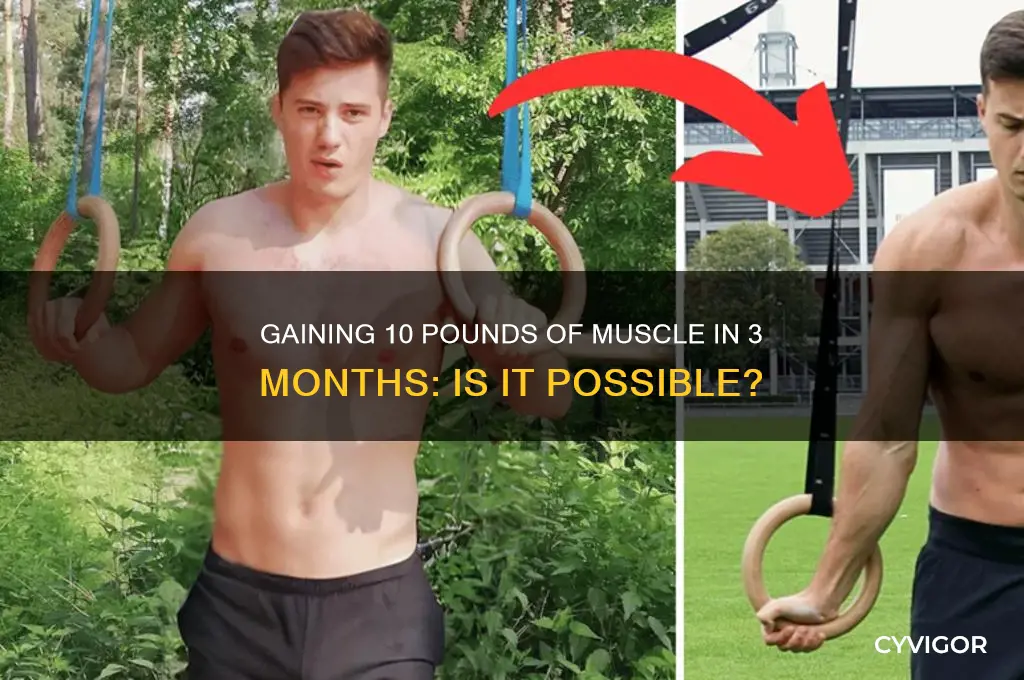 Gaining 10 Pounds Of Muscle In 3 Months: Is It Possible? | CyVigor