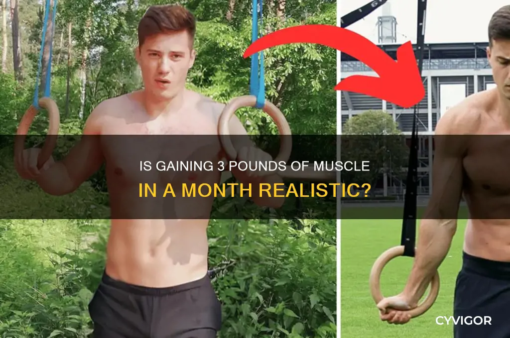 Is Gaining 3 Pounds Of Muscle In A Month Realistic? | CyVigor