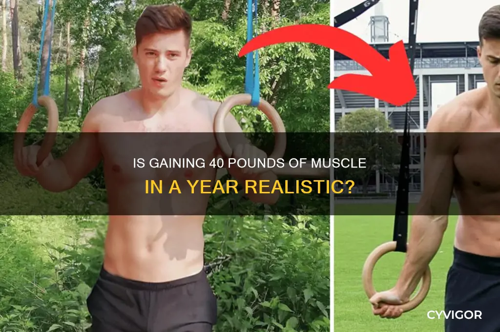 Is Gaining 40 Pounds Of Muscle In A Year Realistic? | CyVigor
