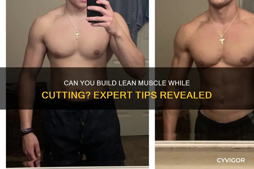 Can You Build Lean Muscle While Cutting? Expert Tips Revealed | CyVigor