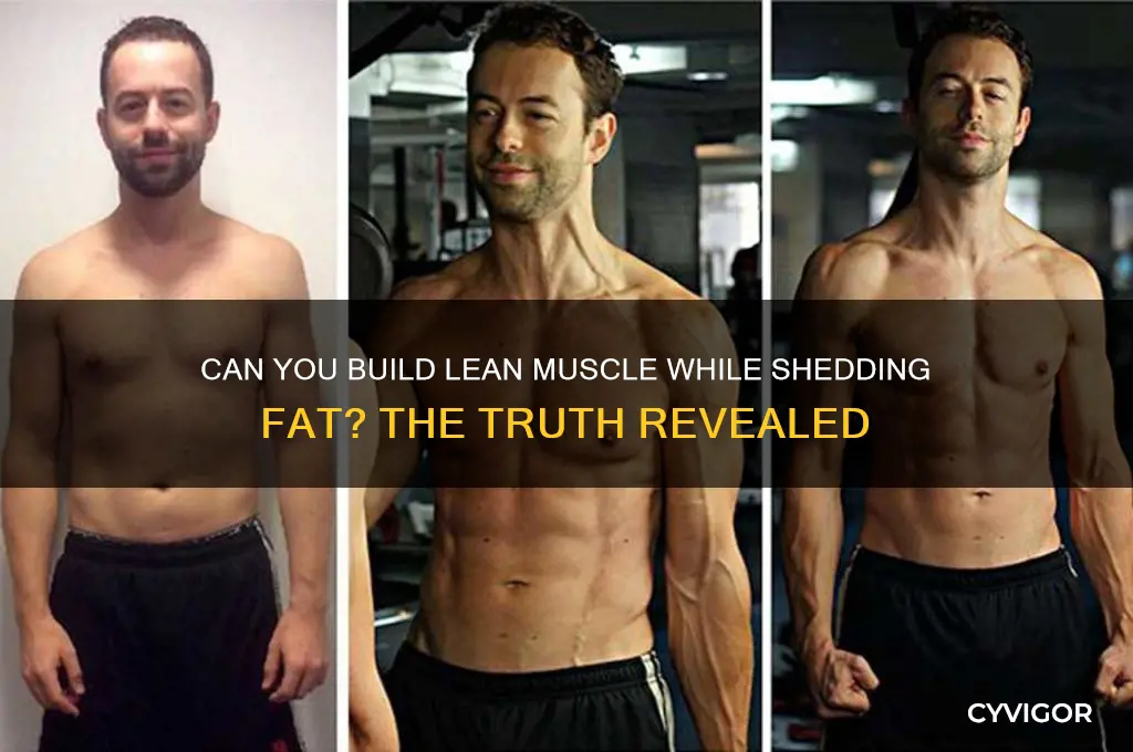Can You Build Lean Muscle While Shedding Fat? The Truth Revealed | CyVigor