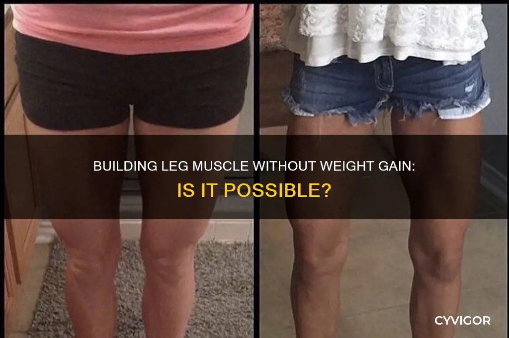 Building Leg Muscle Without Weight Gain: Is It Possible? | CyVigor