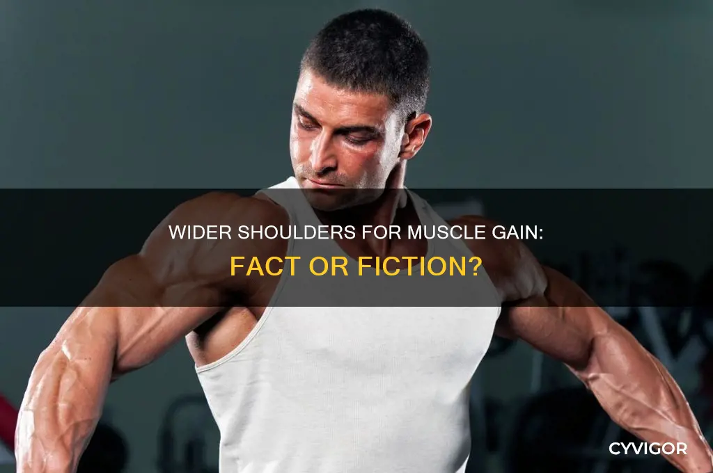 Wider Shoulders For Muscle Gain: Fact Or Fiction? | CyVigor